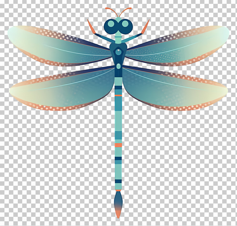 Dragonfly - Blue Dragonfly Illustration PNG, Clipart, Blue, Delicate ...