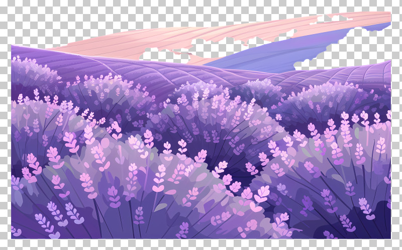 Lavender Field - Lavender Field At Sunset PNG, Clipart, Artistic Nature ...