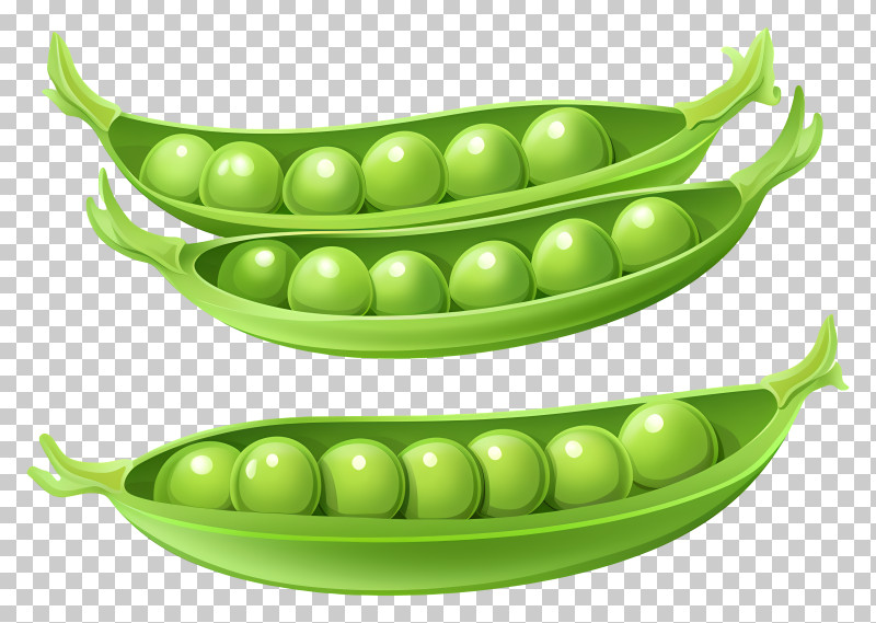 Peas - Fresh Green Pea Pod Illustration PNG, Clipart, Agriculture ...