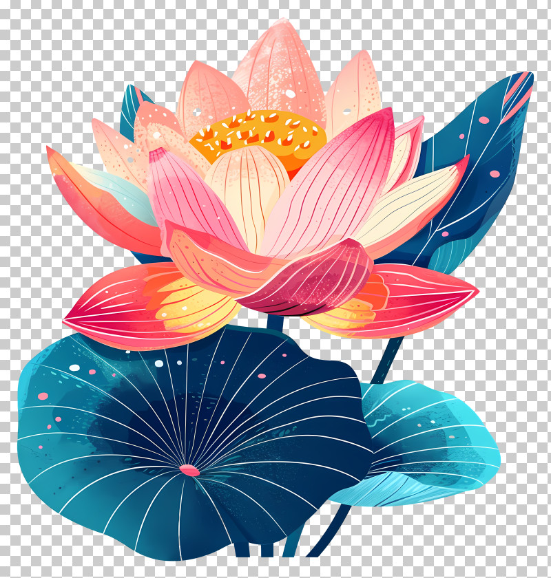 Lotus Flower - Beautiful Colorful Lotus Flower Illustration PNG ...