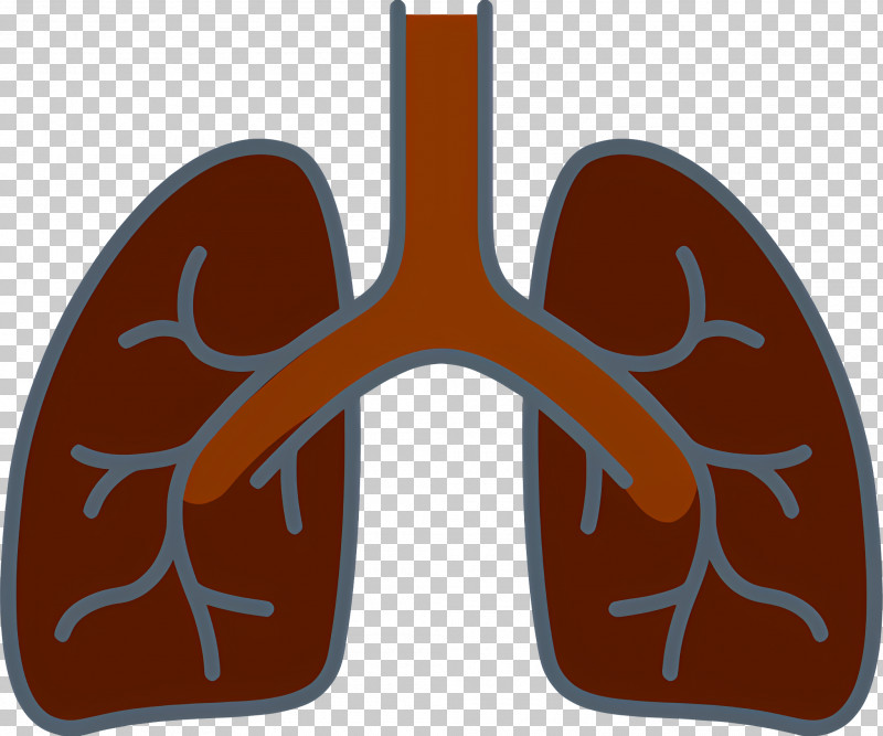 Lung - Illustration Of Human Lungs PNG, Clipart, Air Pathways ...