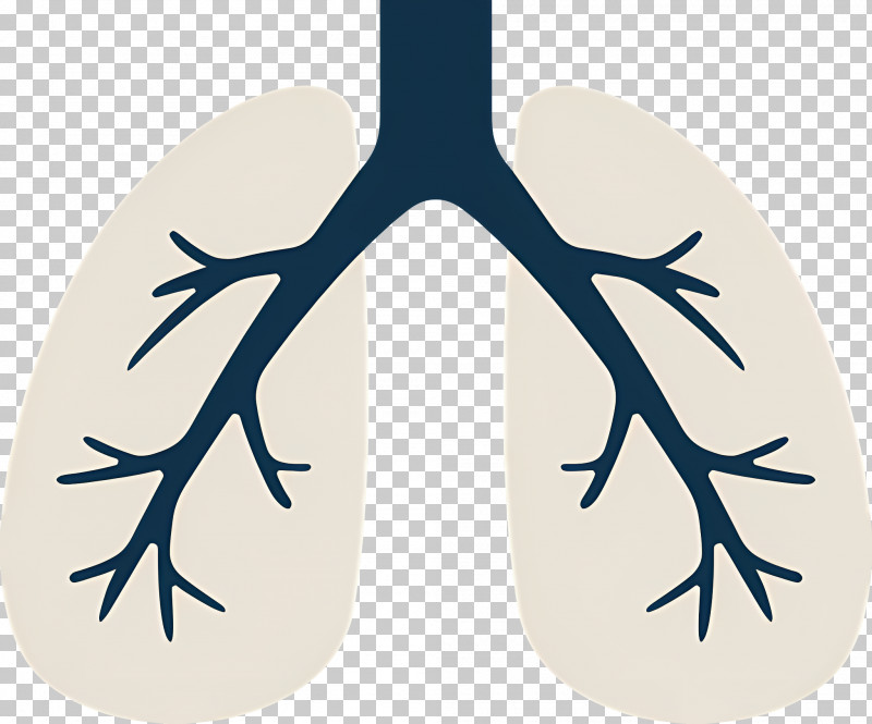 Lung - Illustration Of Lungs And Airways PNG, Clipart, Airways Design ...