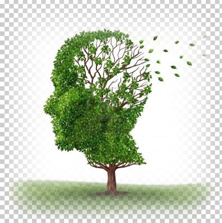 Short-term Memory Amnesia Alzheimer's Disease Long-term Memory PNG ...