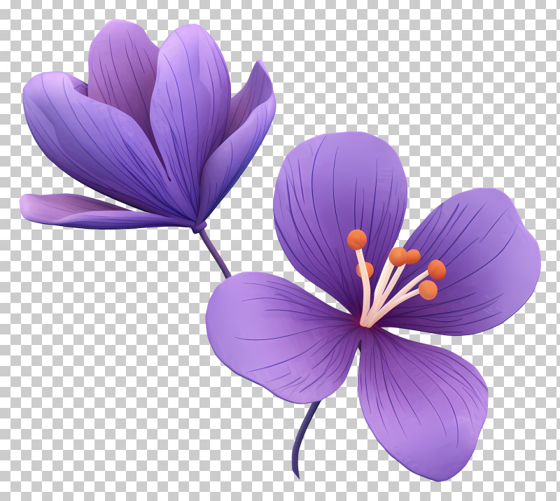 Flowers - Purple Flowers Botanical Illustration PNG, Clipart, Artistic ...