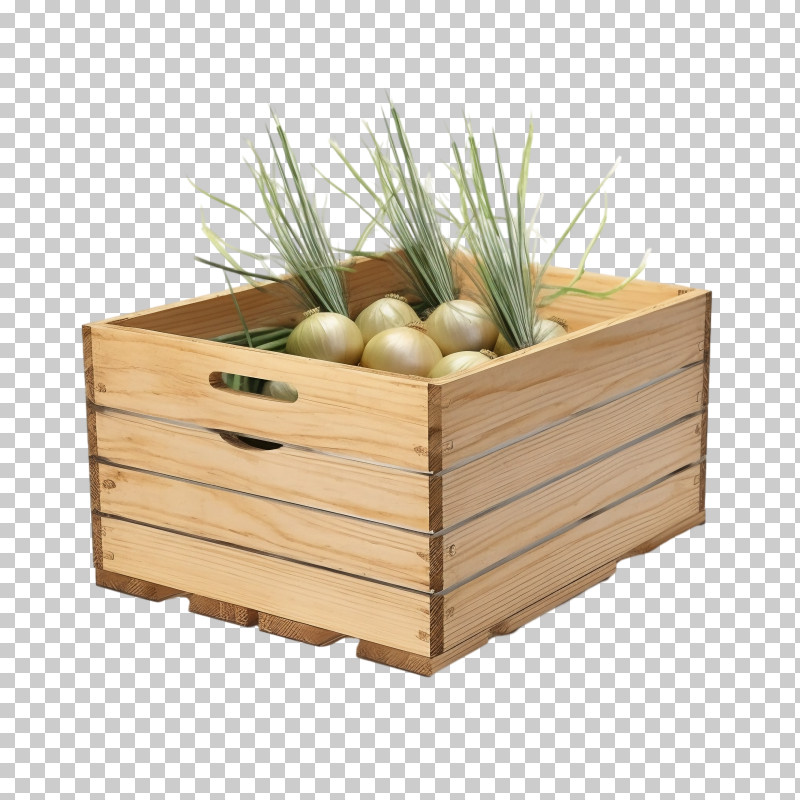 Onion - Wooden Crate With Onions And Plants PNG, Clipart, Agriculture ...