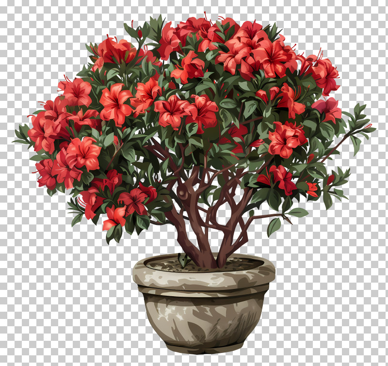 Azalea Plant - Red Azalea Bush In Decorative Pot PNG, Clipart, Azalea ...