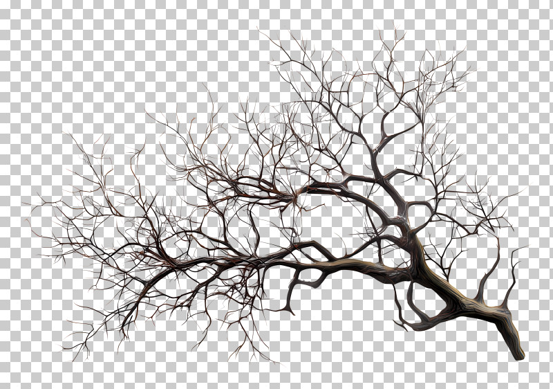 Bare Tree Branch - Bare Tree Branch PNG, Clipart, Bare Branch, Bare Tree Branch, Barren, Nature ...