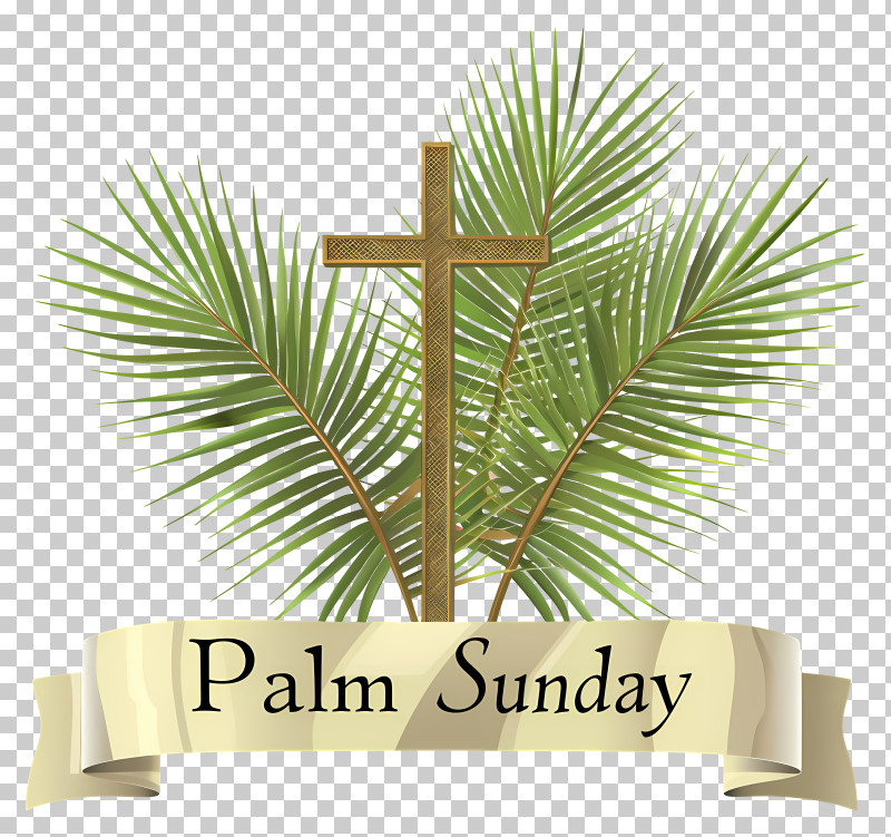 Palm Sunday - Palm Sunday Celebration With Cross And Leaves PNG ...