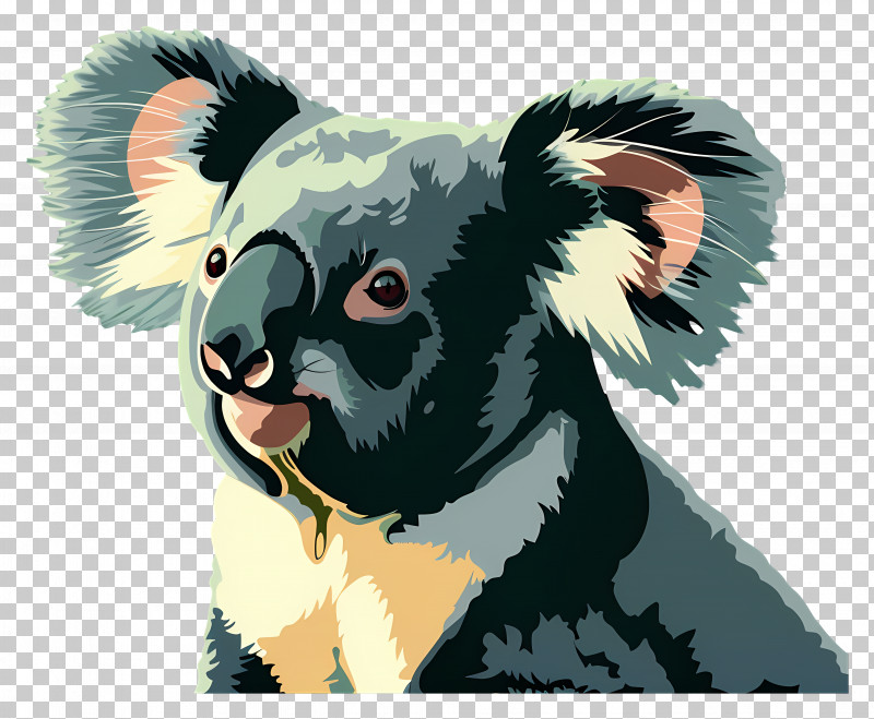 Koala - Cute Koala Illustration PNG, Clipart, Animal Habitat, Australia ...