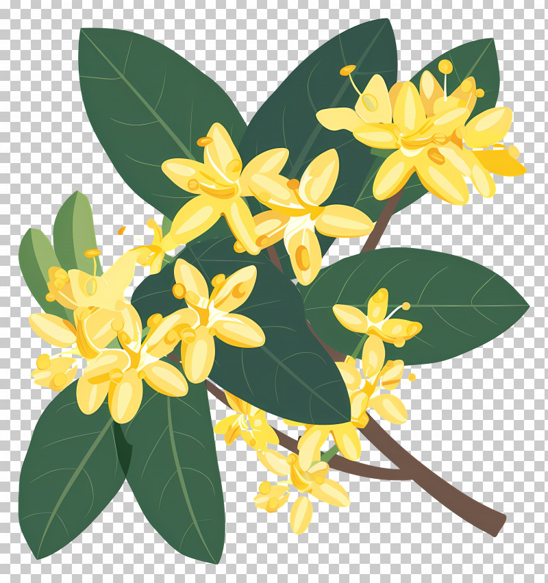 Osmanthus Flower - Beautiful Yellow Flowers With Green Leaves PNG ...