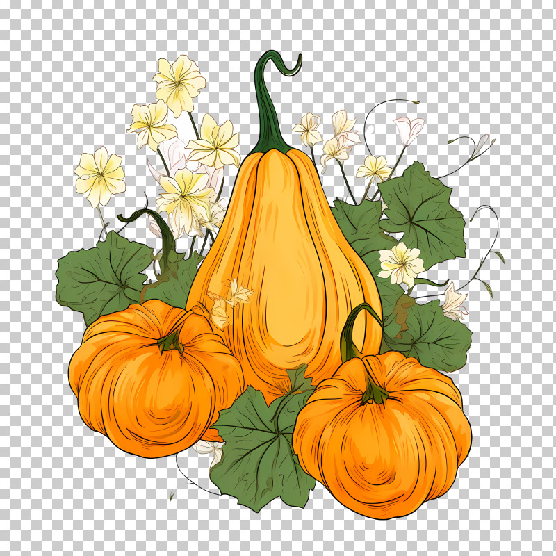 Autumn Gourds - Pumpkins And Leaves For Autumn Scene Illustration PNG ...