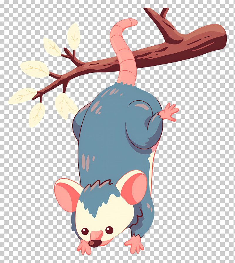 Cute Possum - Cute Possum Hanging On A Branch PNG, Clipart, Branch ...