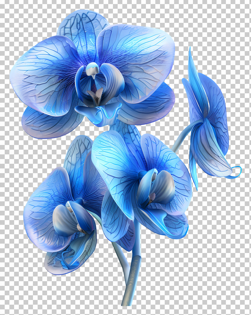 Blue Orchid - Beautiful Blue Orchid Flowers PNG, Clipart, Bloom, Blue ...