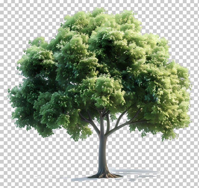 3d Tree - Lush Green Tree With Dense Foliage PNG, Clipart, 3d Tree ...