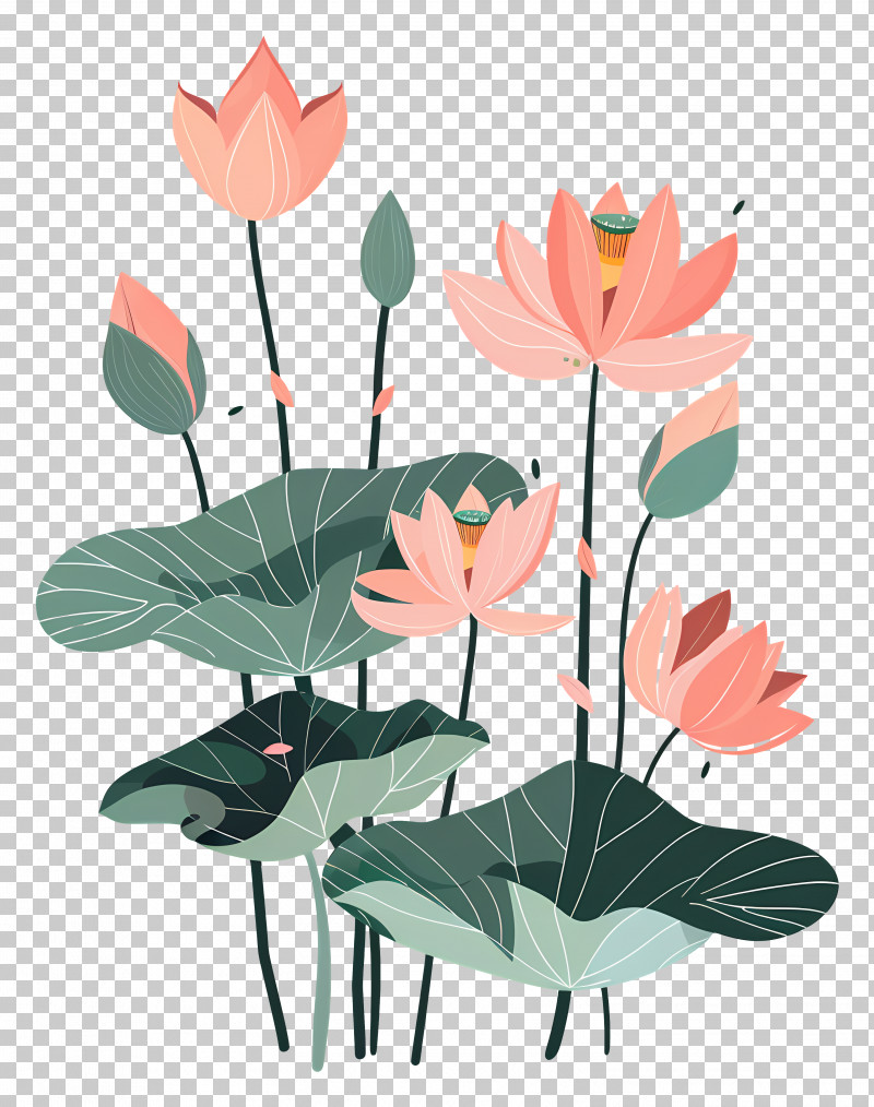 Lotus - Lotus Flowers And Leaves PNG, Clipart, Bloom, Botanical Art ...