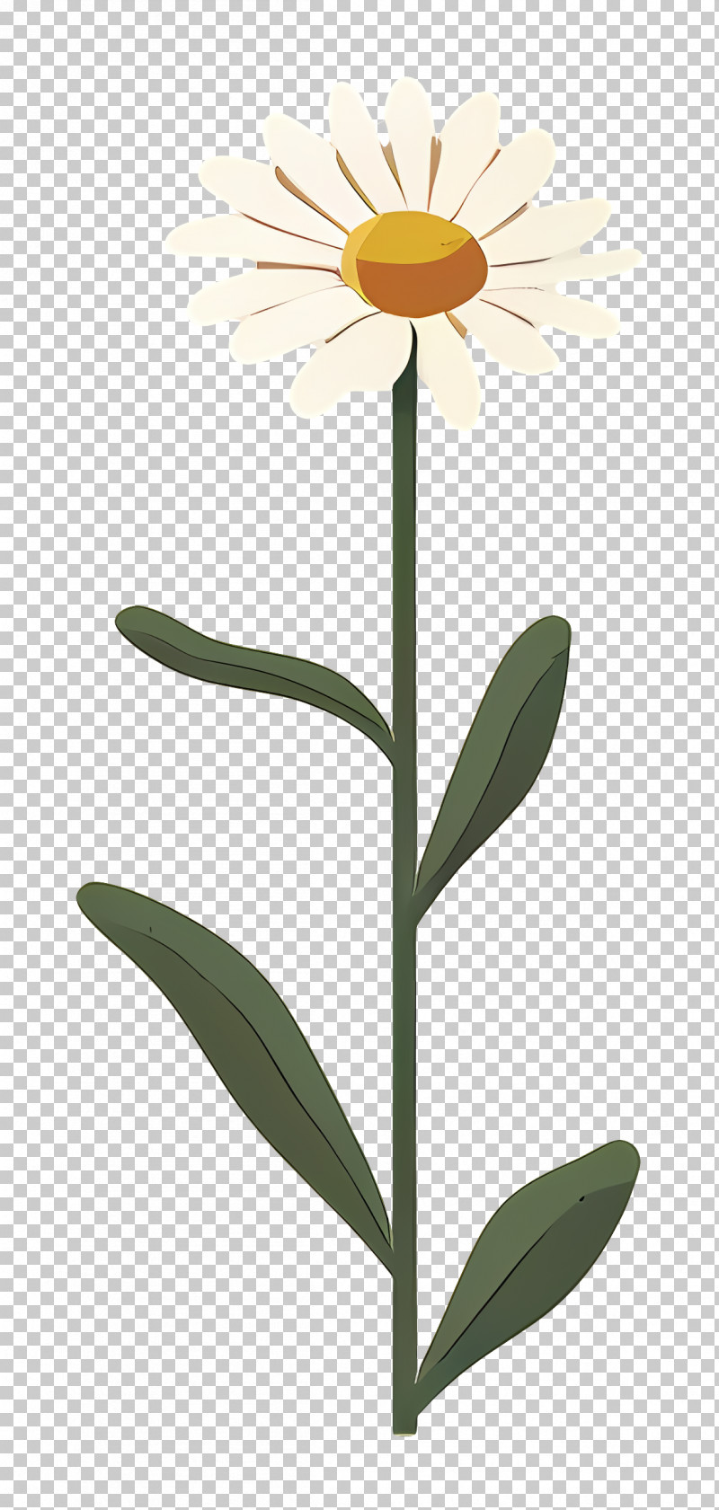 Daisy - Simple Daisy Flower Illustration PNG, Clipart, Beautiful ...